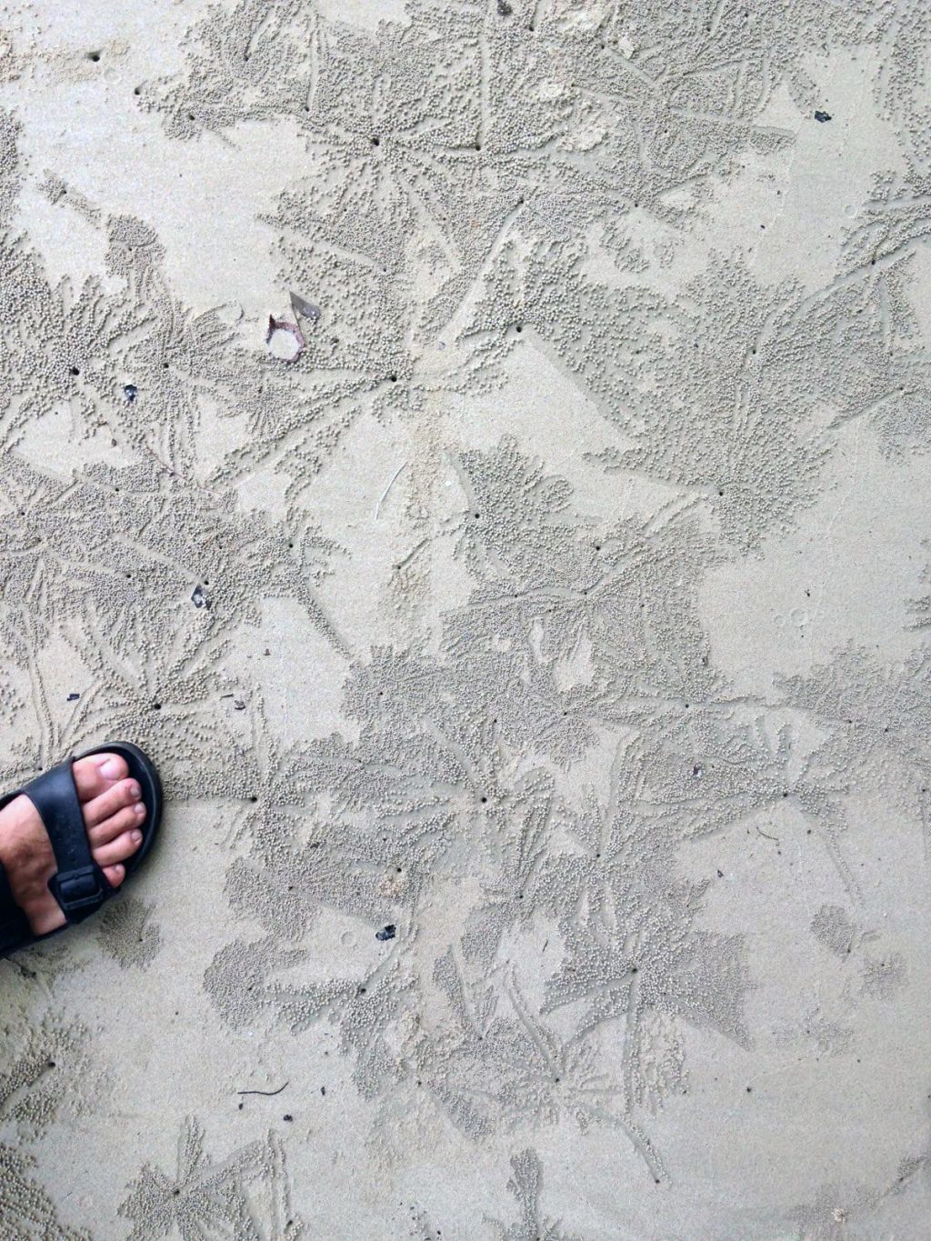 Ausstellung “IM SÜDEN VON DER ELBE“ – HYPER CULTURAL PASSENGERS